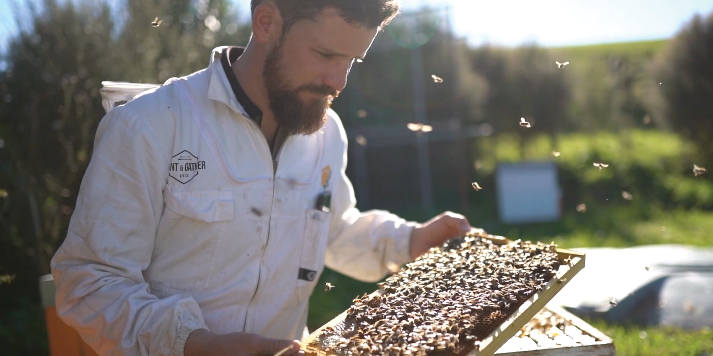 Hunt and Gather Bee Co.